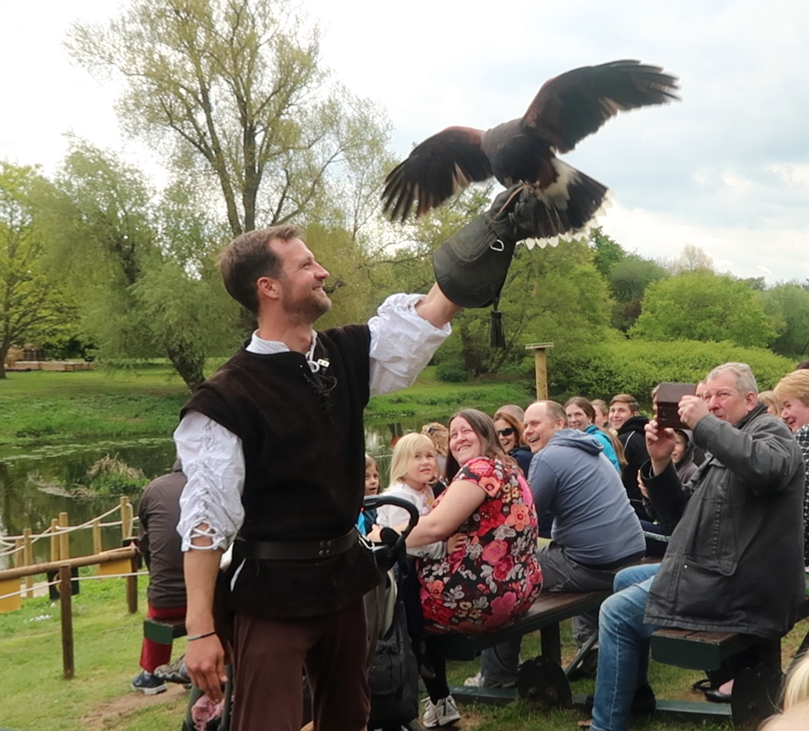 (AD) Our day out at Warwick Castle and the Falconer’s Quest – Thrifty ...